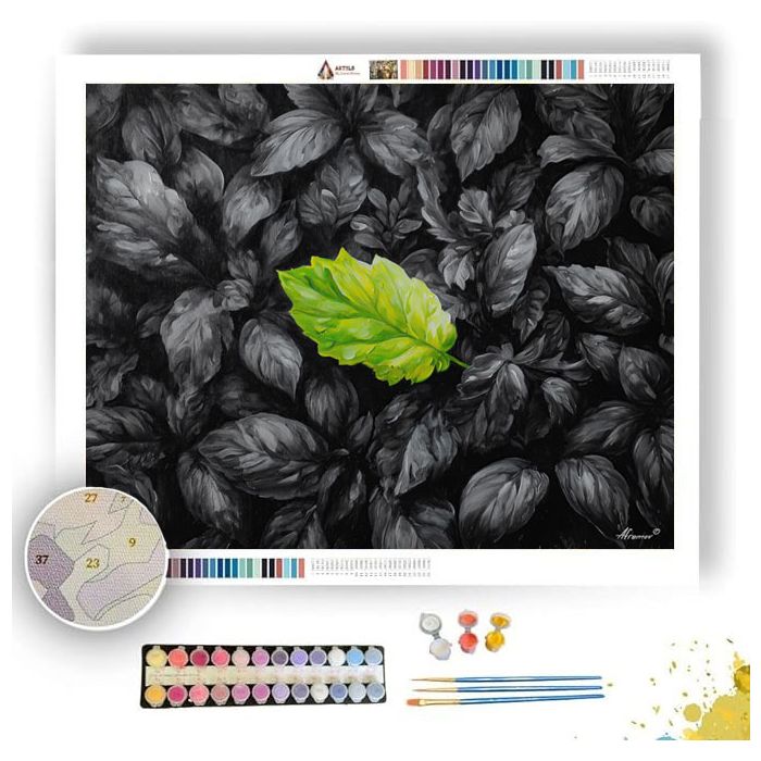 GREEN LEAF STILL B&W - Paint by Numbers Full Kit