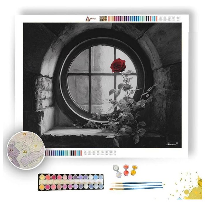 RED ROSE WINDOW B&W - Paint by Numbers Full Kit